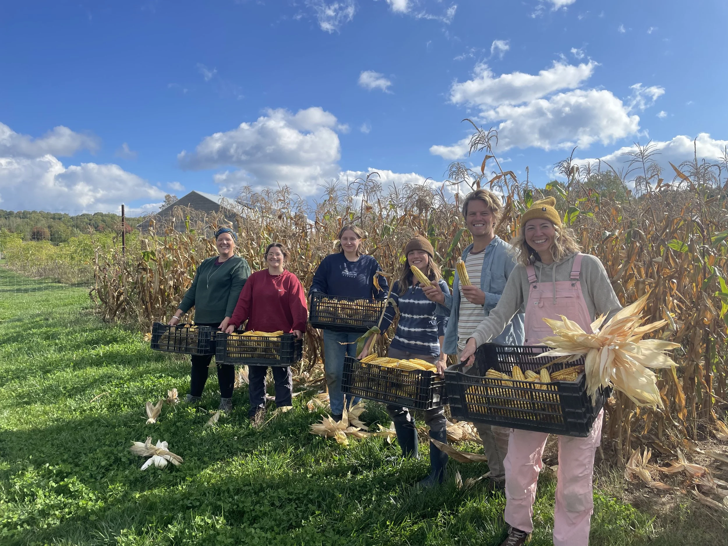 Join The Team — Farm Club