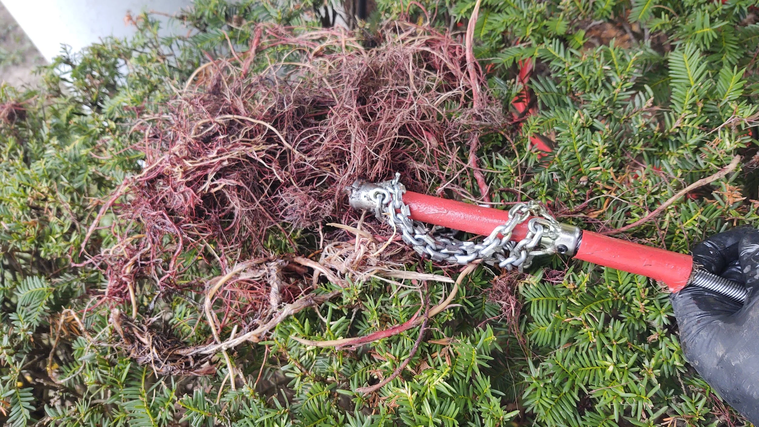 Services — KC Plumbing and Rooter