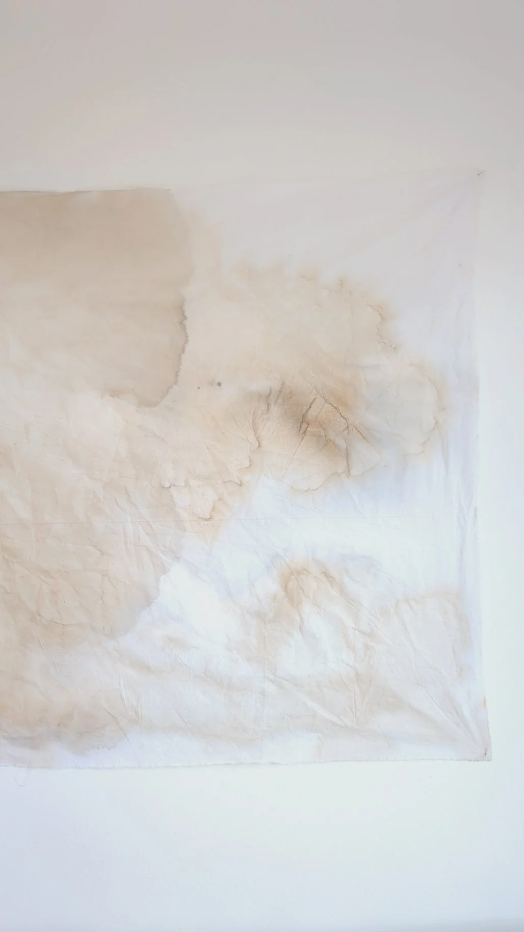 Shop Original Art — Annika Bergmann Art
