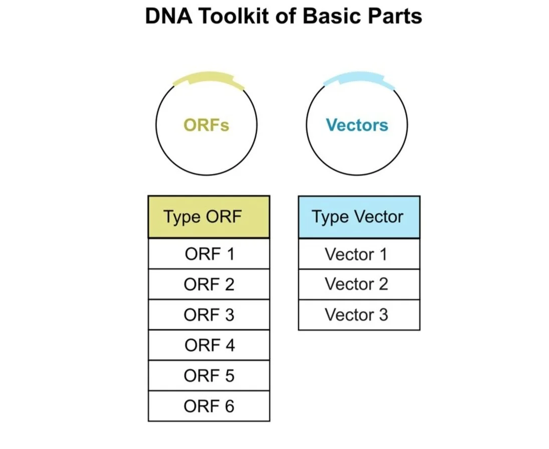 DNA Toolkits — ClutchBio