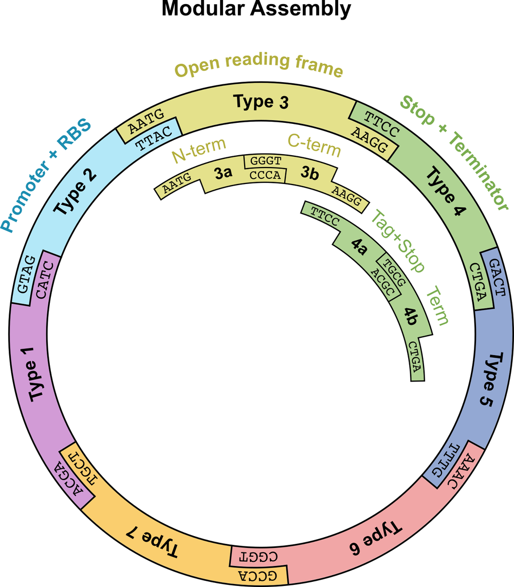 DNA Toolkits — ClutchBio