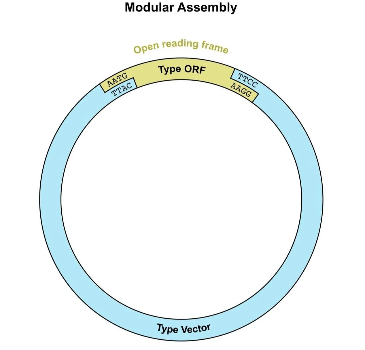 DNA Toolkits — ClutchBio
