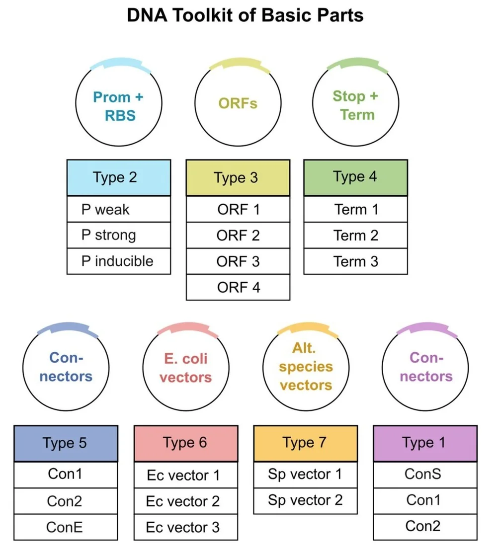 DNA Toolkits — ClutchBio