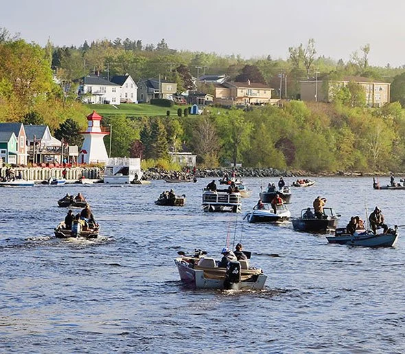 Discover Miramichi