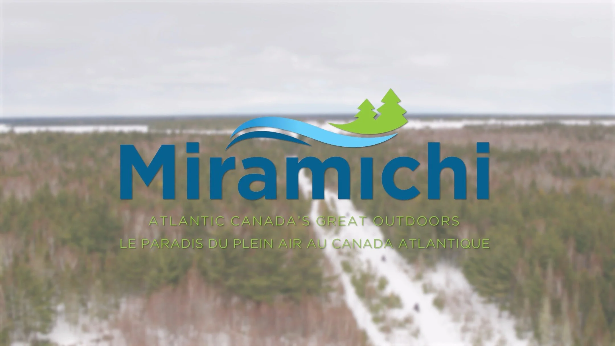 Discover Miramichi