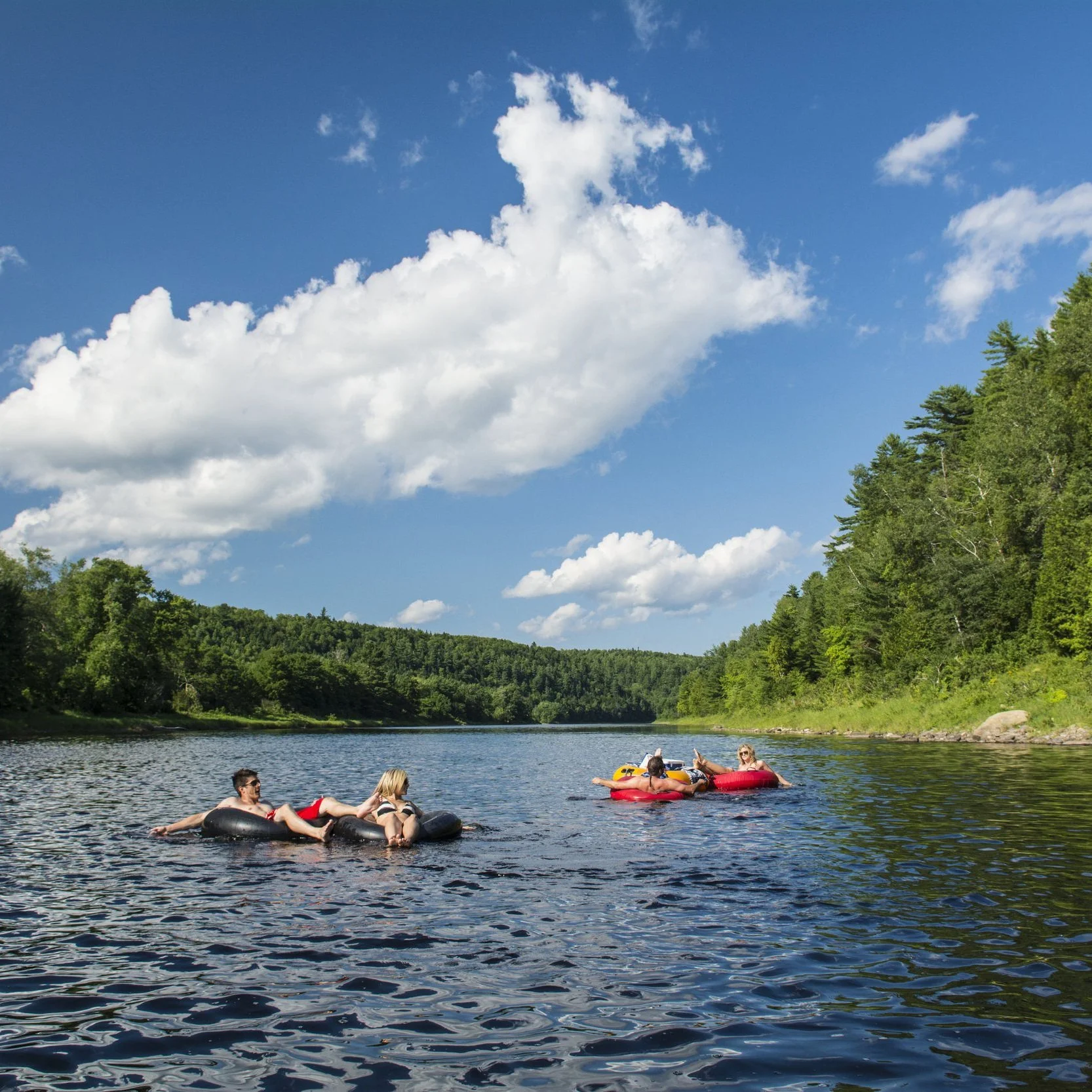 Discover Miramichi
