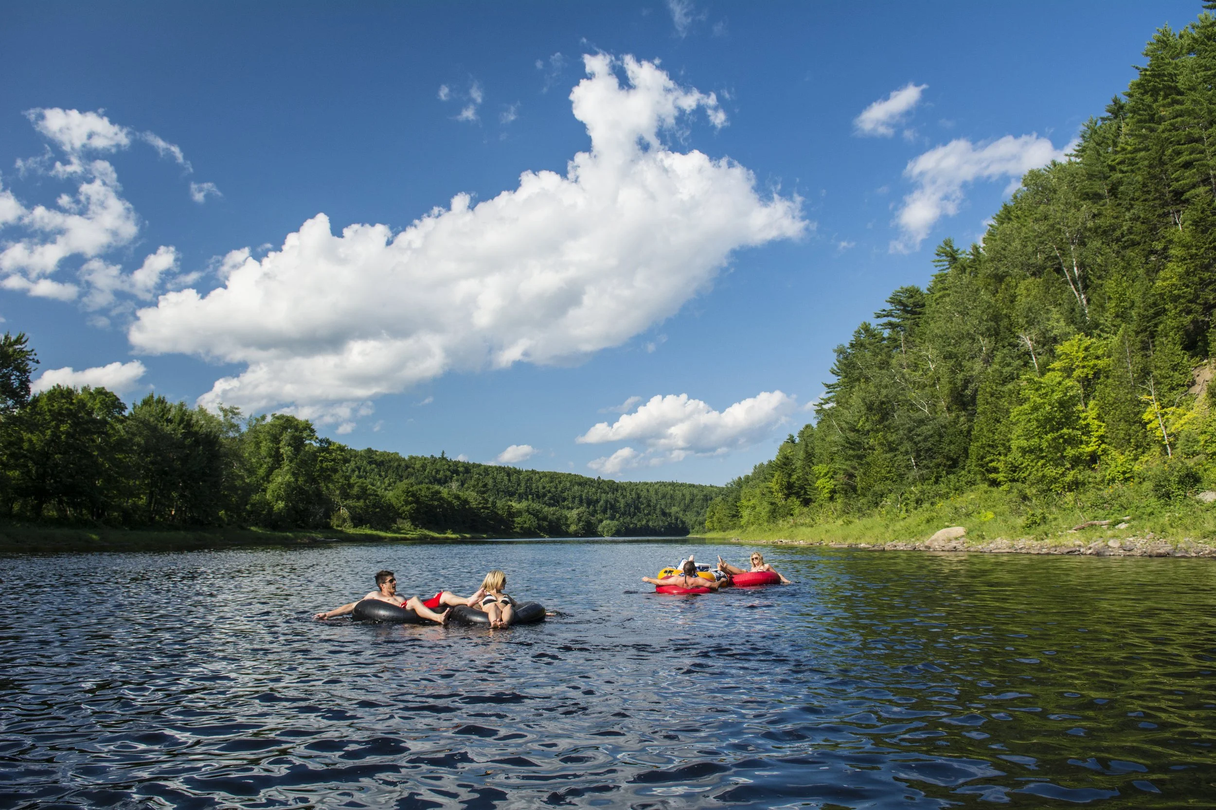 Discover Miramichi