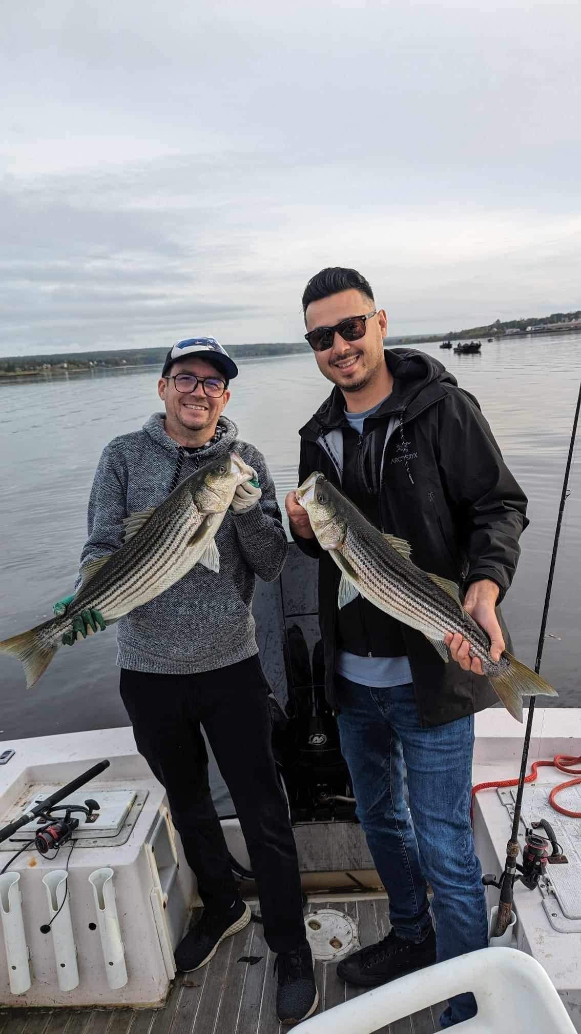Discover Miramichi