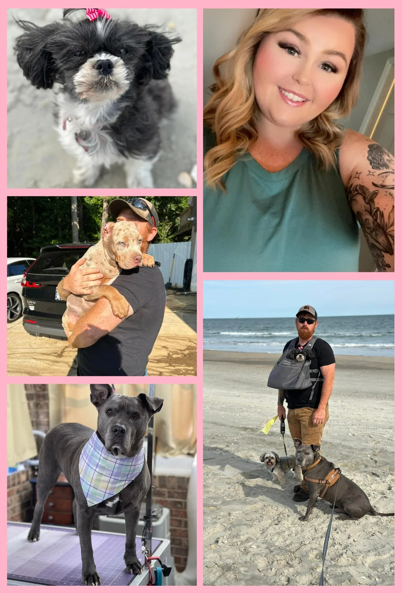 About Us — Purrfectly Pampered Pet Spa