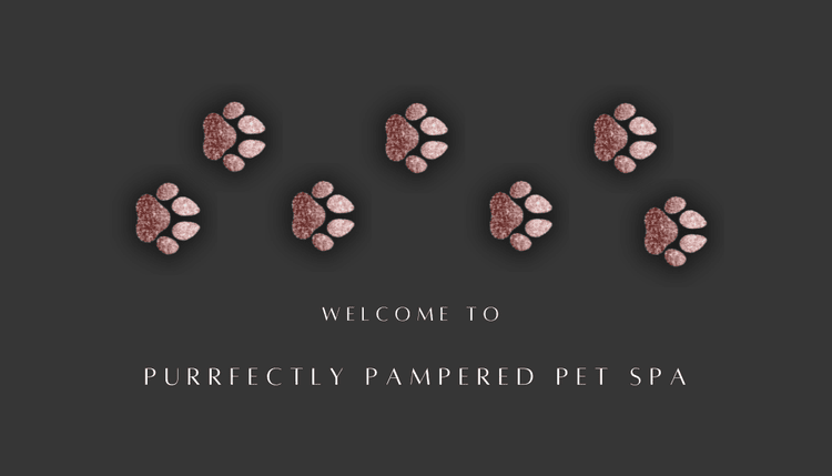 Purrfectly Pampered Pet Spa