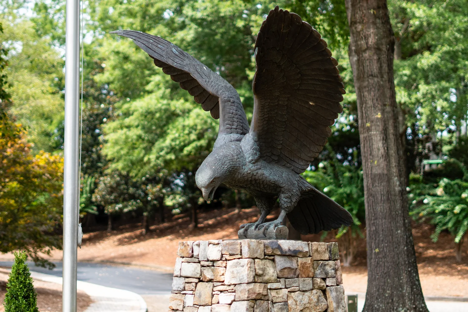 Contact Hawks Ridge Golf Club — Hawks Ridge Golf Club