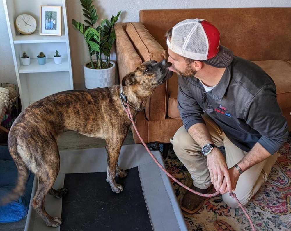 Sky Soldier Dog Training - The #1 Balanced Dog trainer for Saint Louis