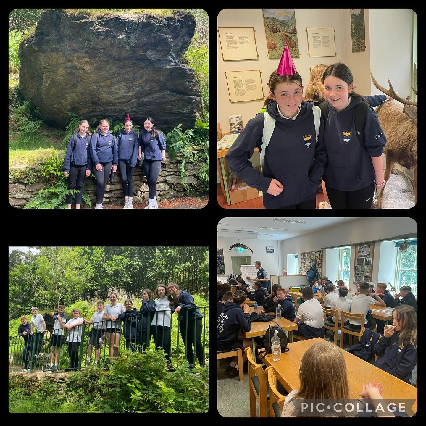 Gaelscoil Chill Mhantáin