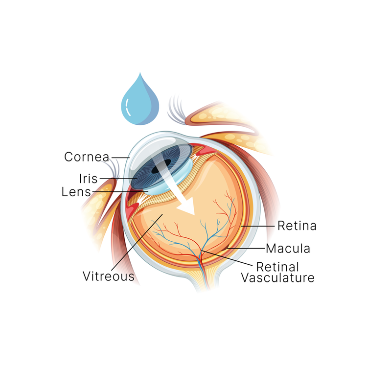 VIAN THERAPEUTICS