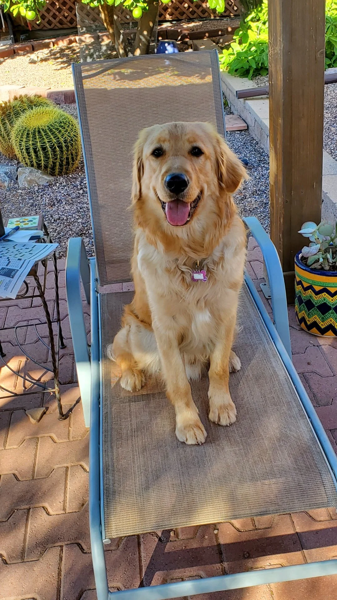 General 1 — Southern Arizona Golden Retriever Rescue