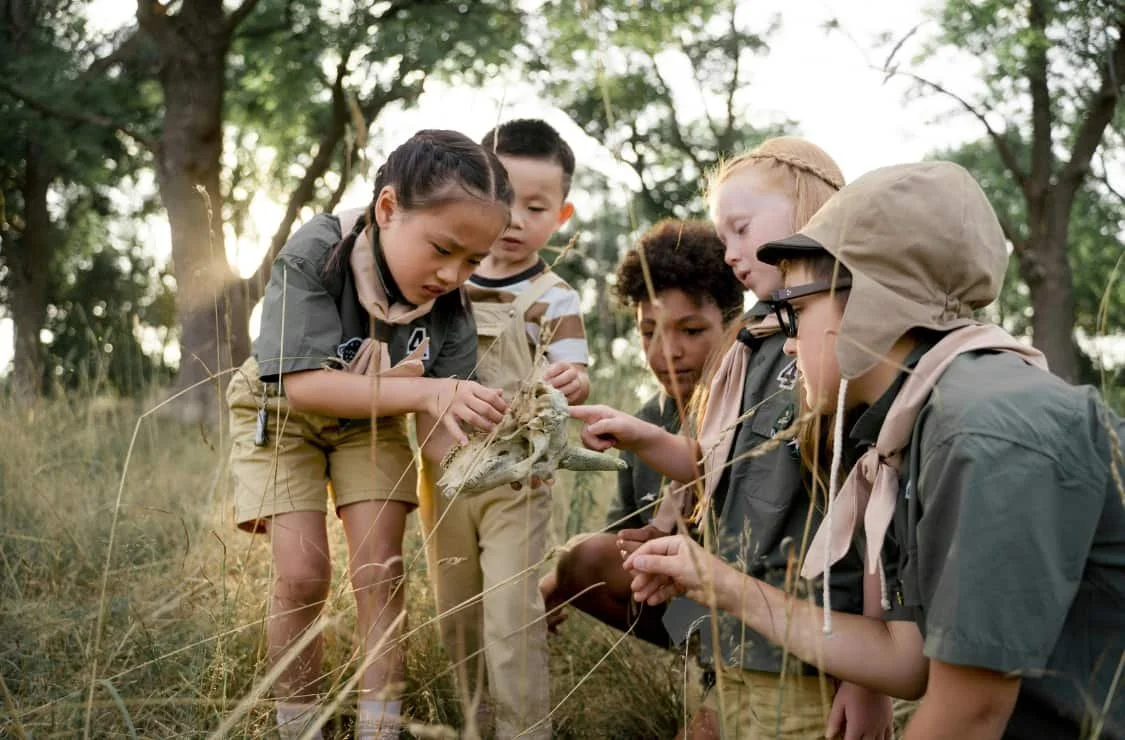 Boy Scouts Rebrand: A Beacon of Inclusivity for LGBTQ+ Youth — Arrive ...