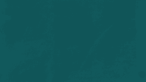 The Story by General Editor Randy Frazee | Randy Frazee • Author and ...