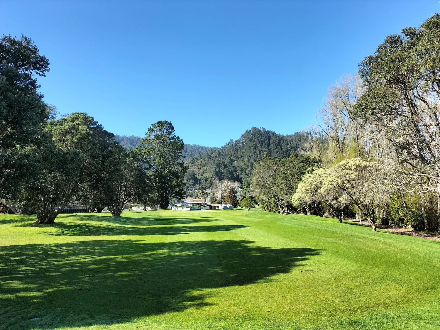 Golf - Our Courses — Pauanui Club