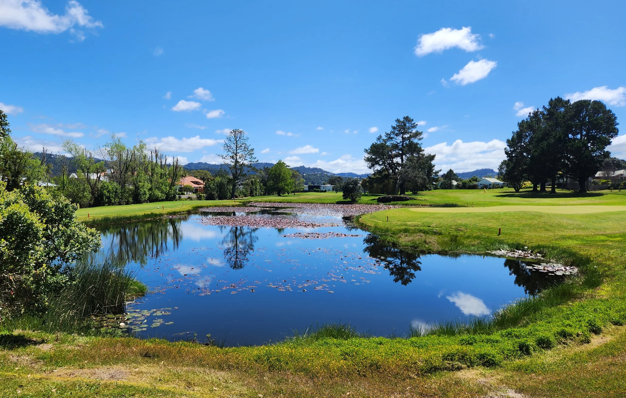 Golf — Pauanui Club