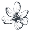 Blossom & Bliss - Floral Design for Weddings & Events in Virginia ...