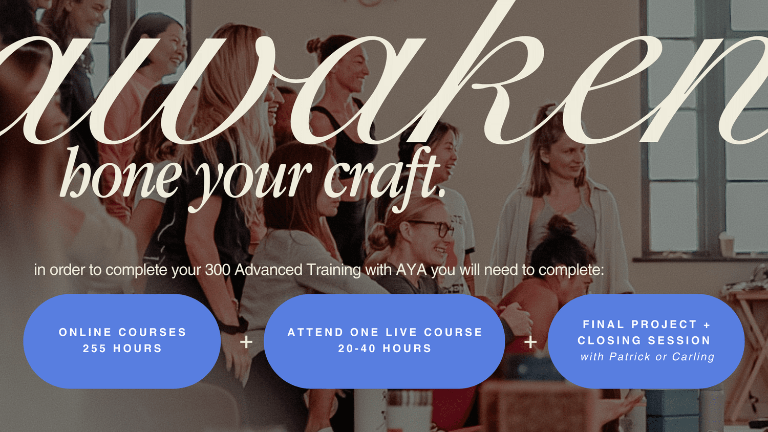 300 Hour Advanced RYT | Patrick Beach & Carling Harps