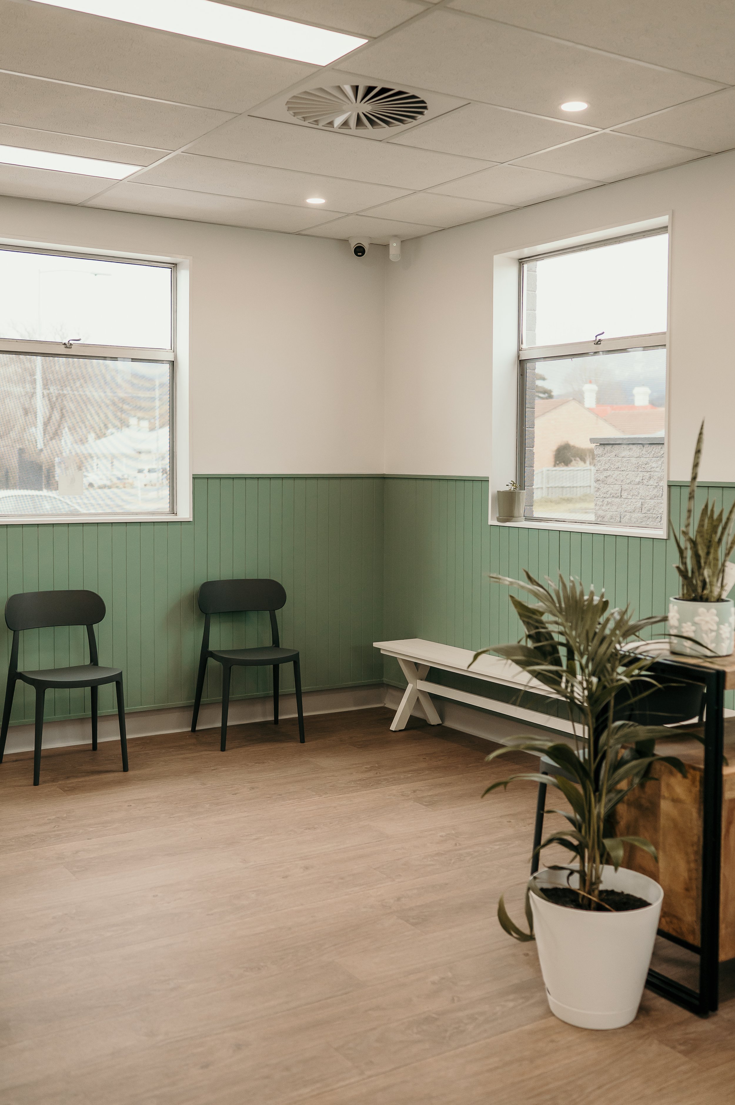 Vet in the Valley Animal Hospital — Vet in the Valley