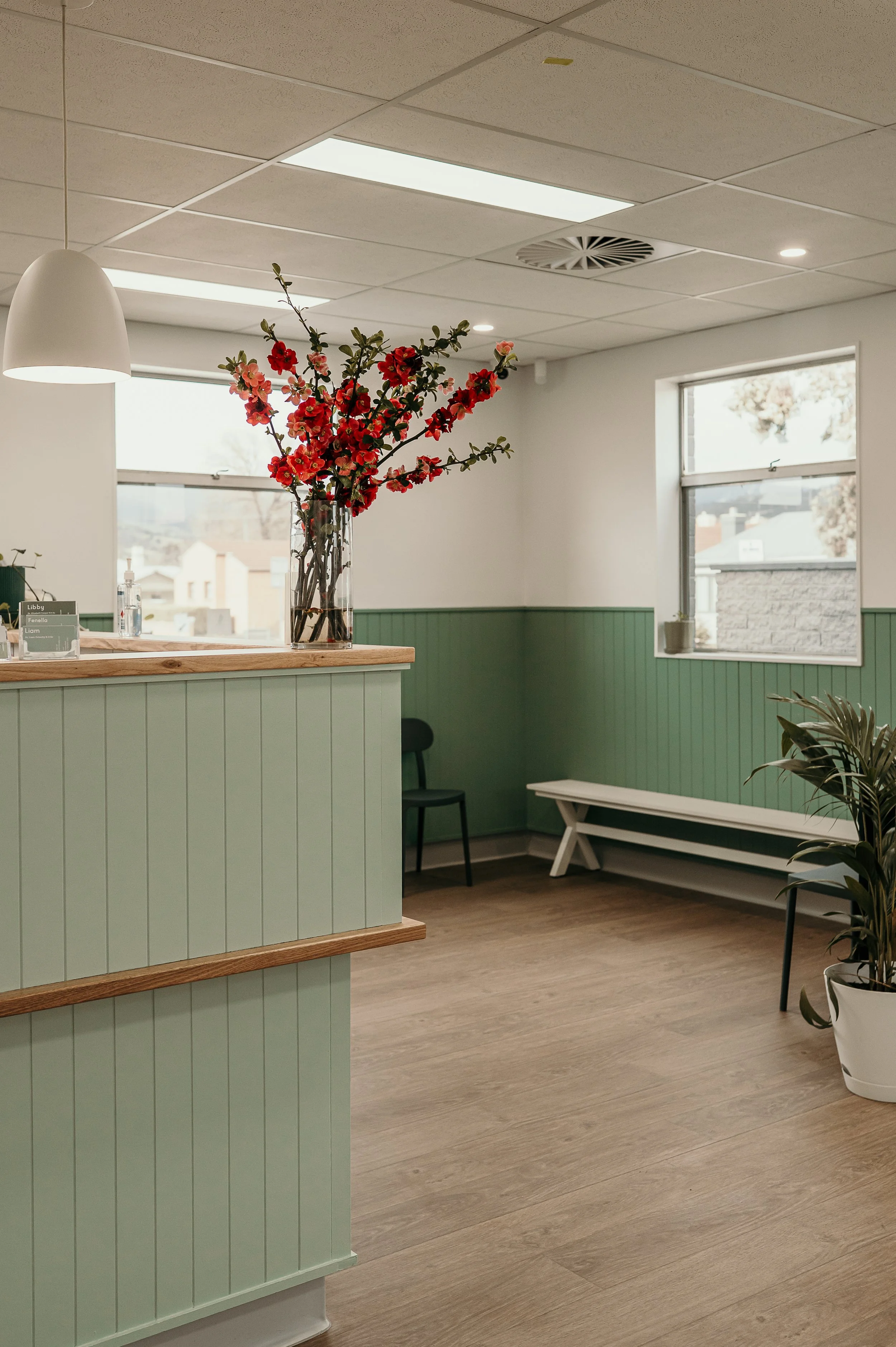 Vet in the Valley Animal Hospital — Vet in the Valley