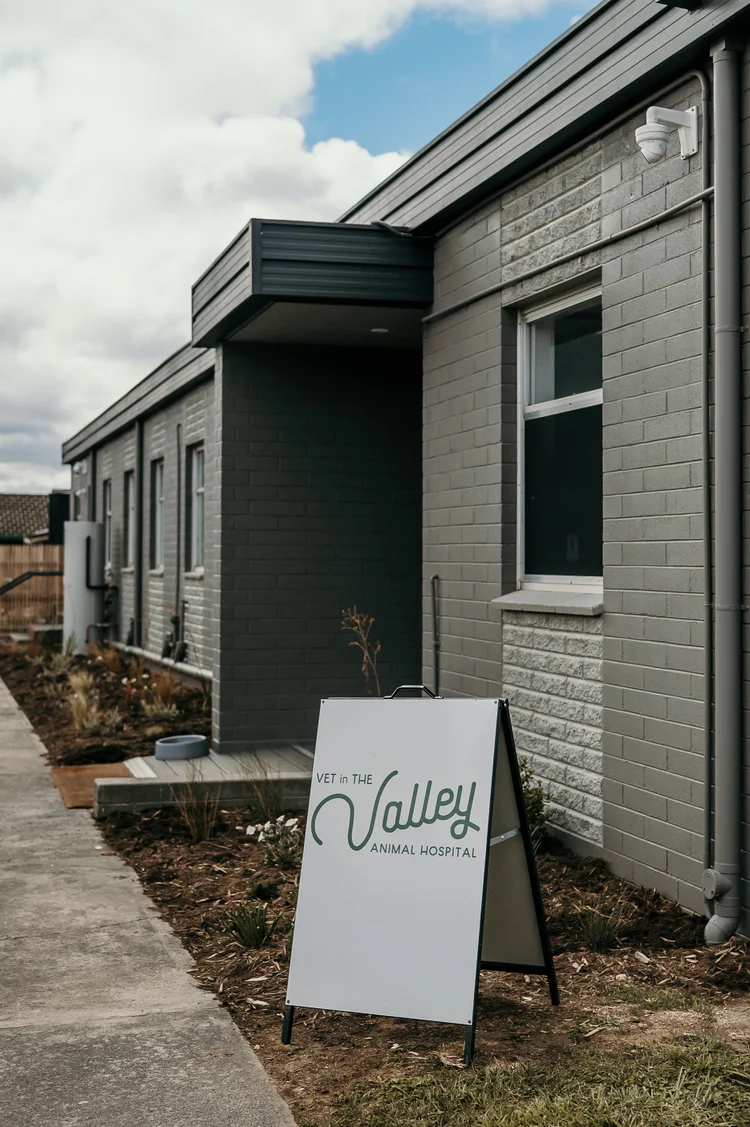 Vet in the Valley Animal Hospital — Vet in the Valley