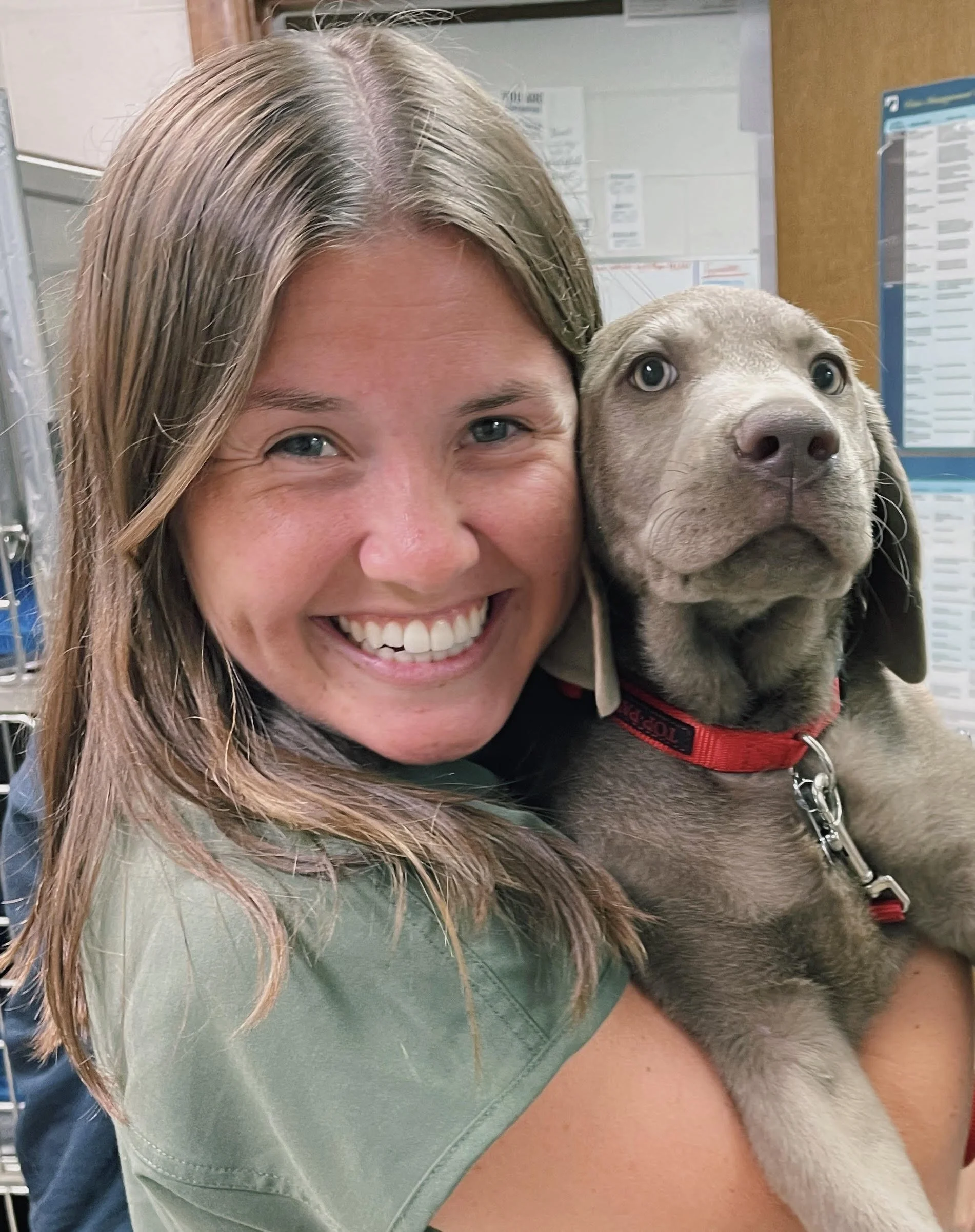 Classic City Sitters