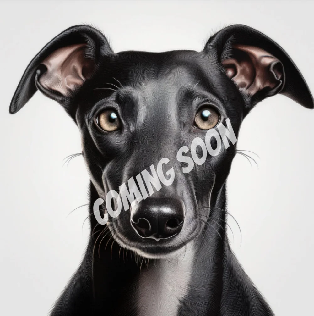 Adoptable Greyhounds — Greyhounds Only, Inc