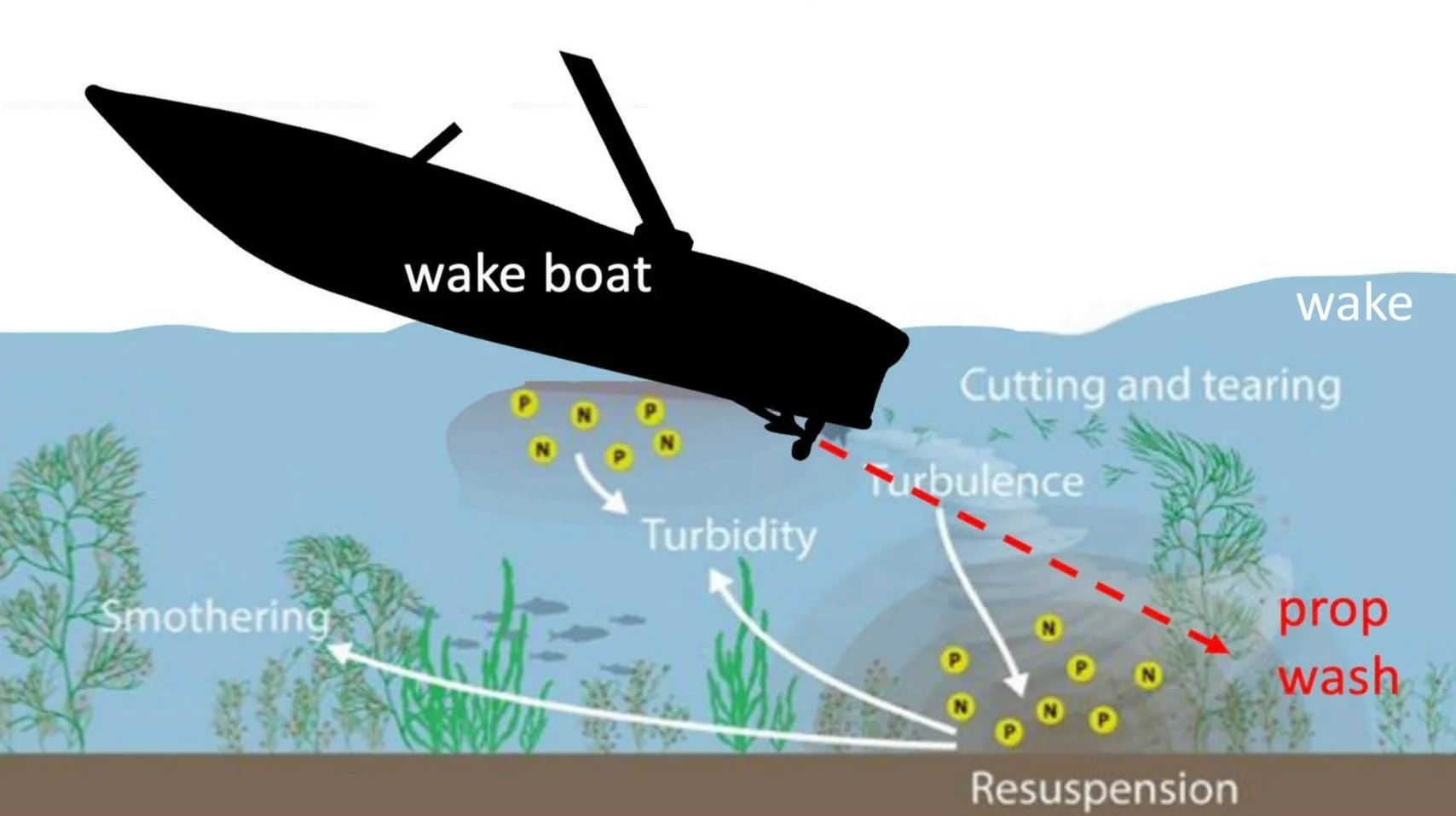 The 200 Foot Myth — Lakes at Stake