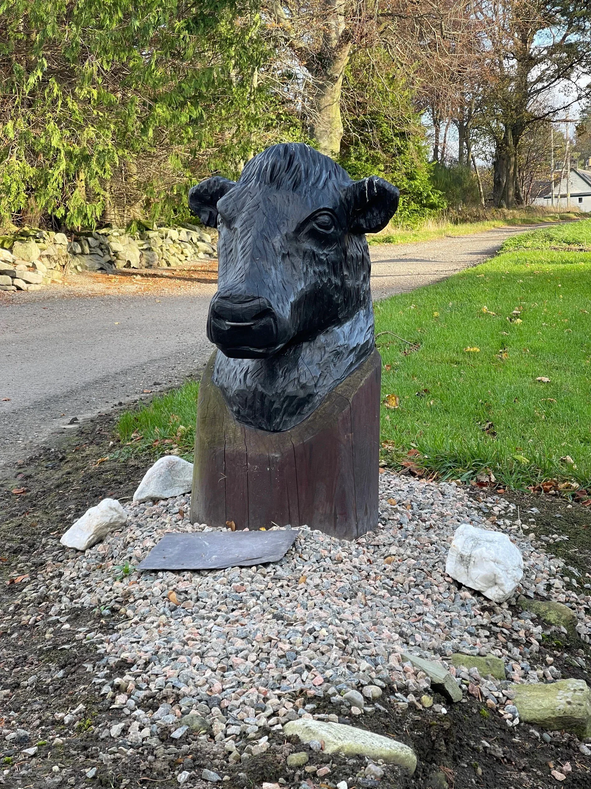 A Journey Through Angus Heritage — Thomas Angus Ranch