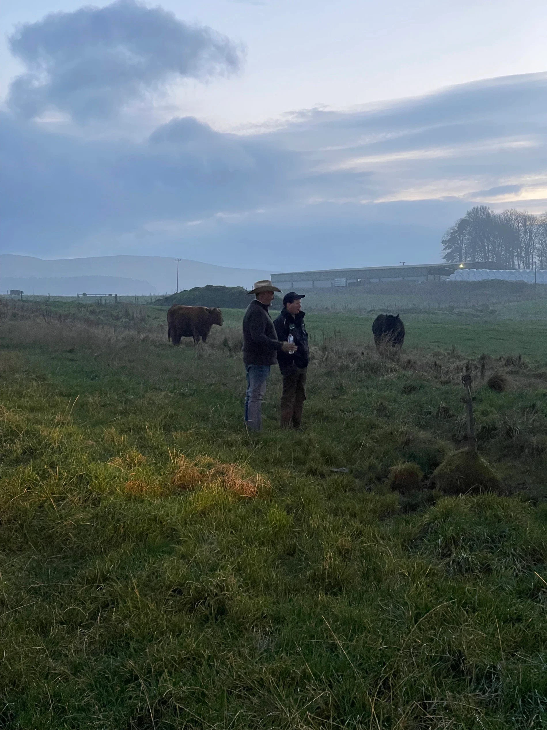 A Journey Through Angus Heritage — Thomas Angus Ranch