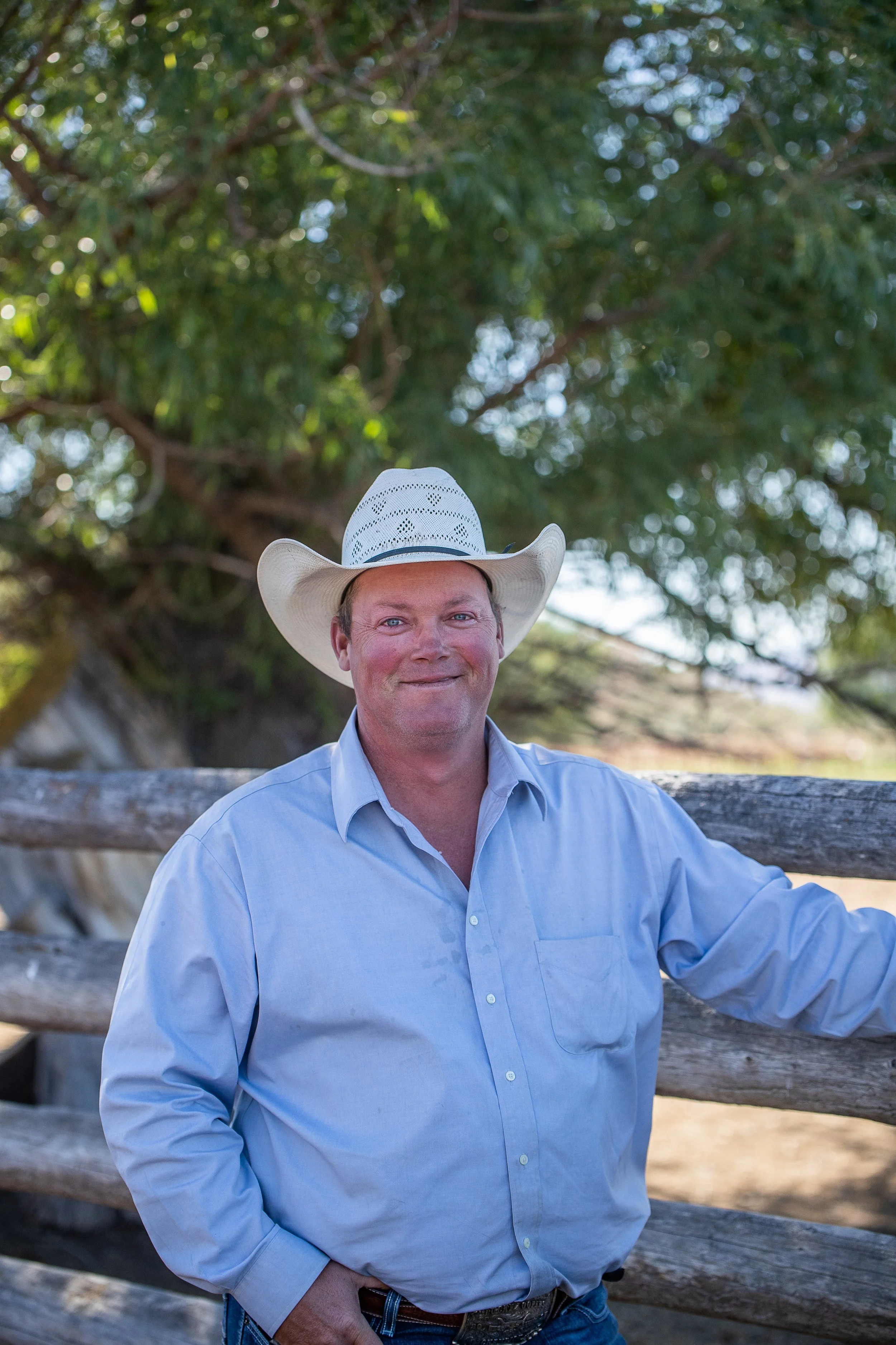 About — Thomas Angus Ranch