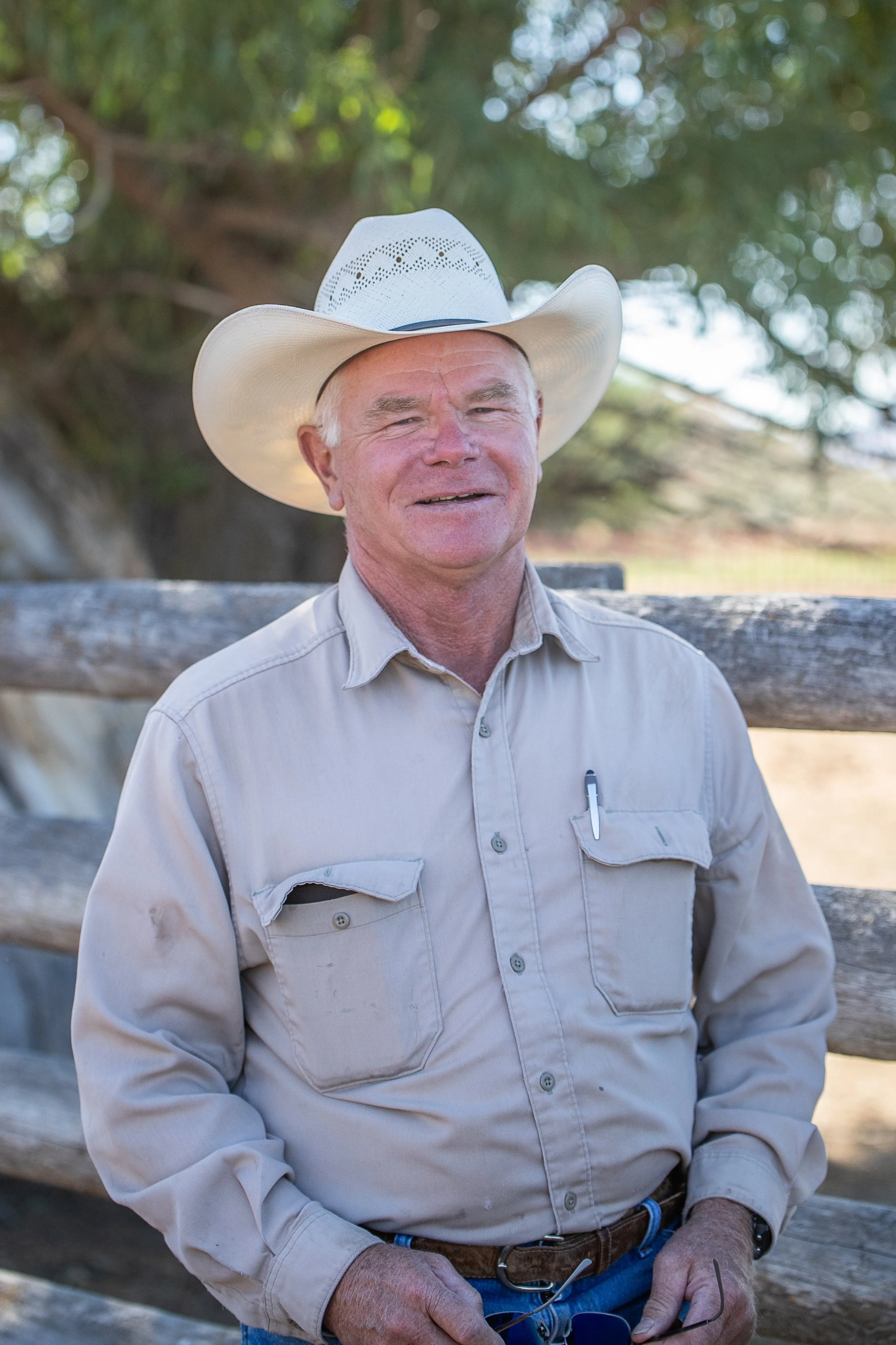 About — Thomas Angus Ranch