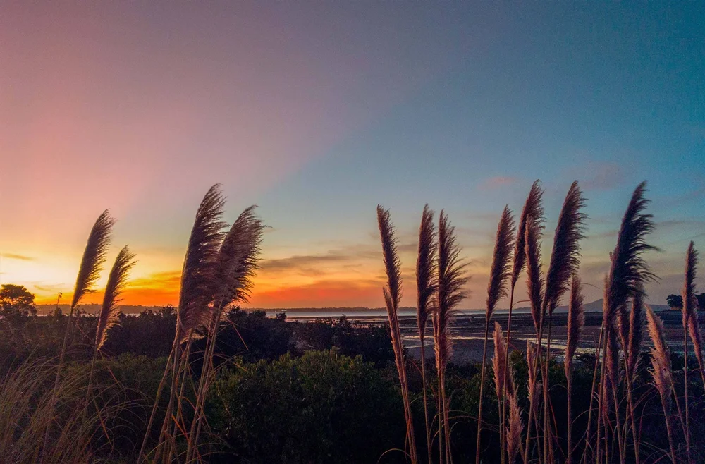 Beachlands — Pohutukawa Coast