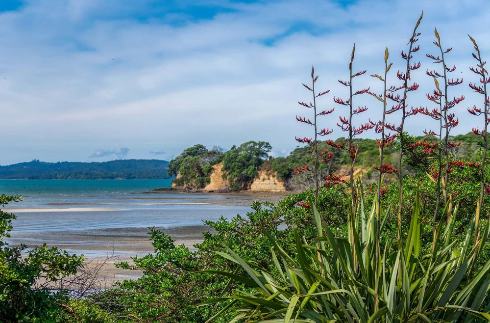 Beachlands — Pohutukawa Coast