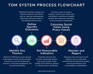 Understanding Themes, Outcomes & Measures (TOM) — BidVantage