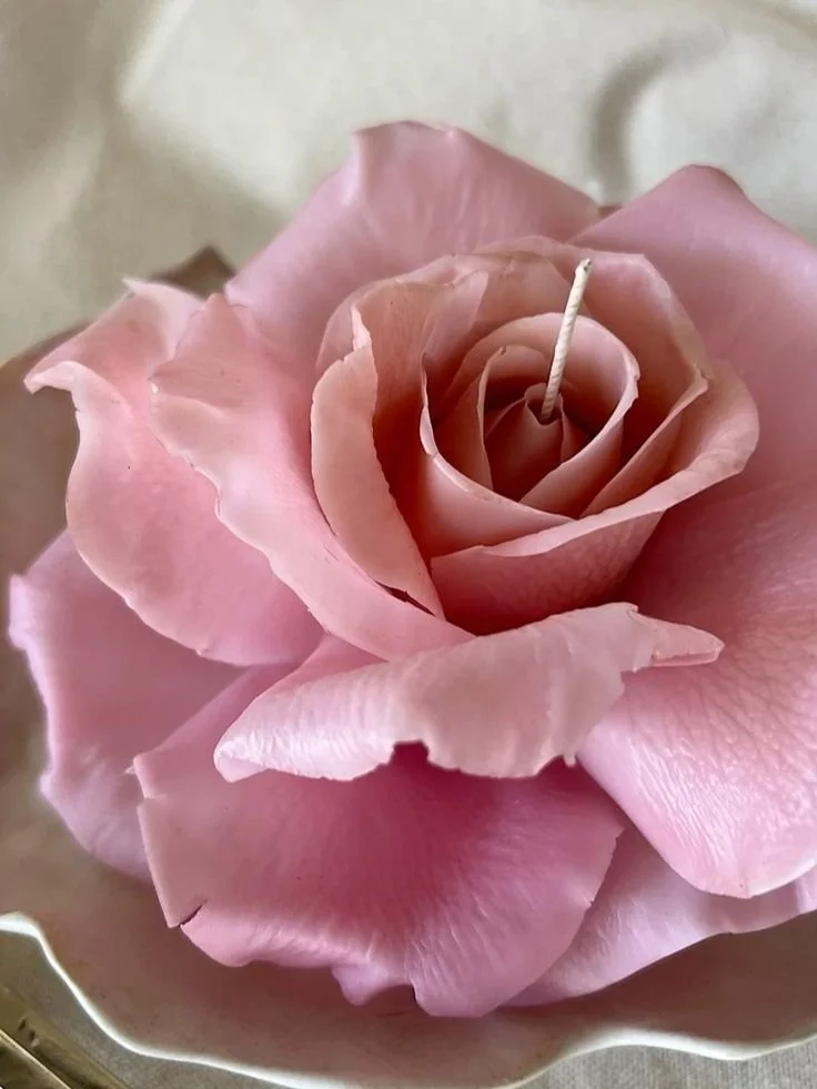 Peony & Rose candles