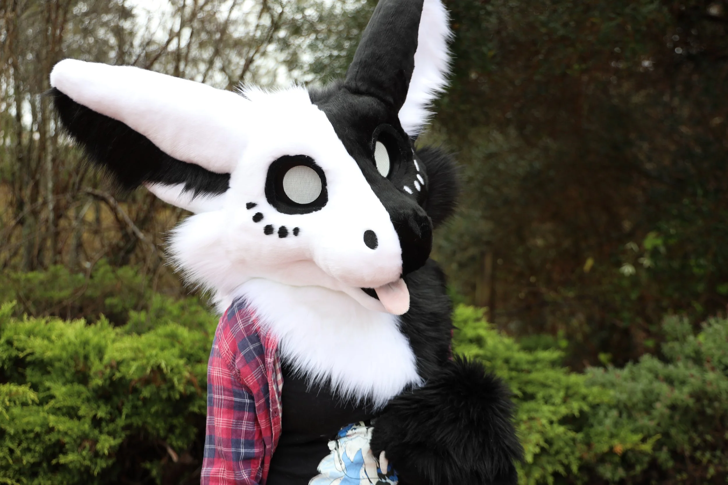 Angel dragon fursuit head base pattern — Skyehighstudios