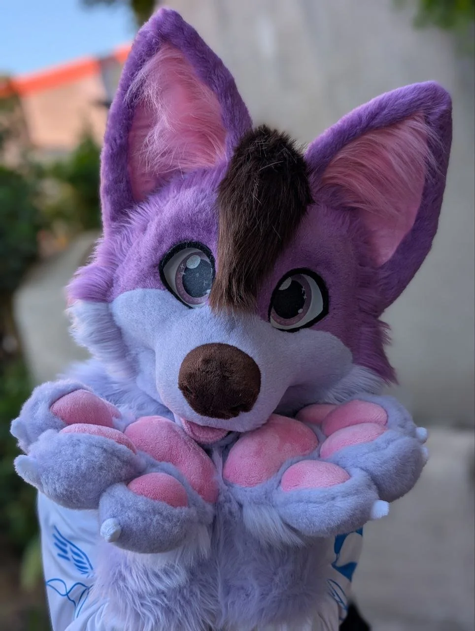 2024 — Skyehighstudios