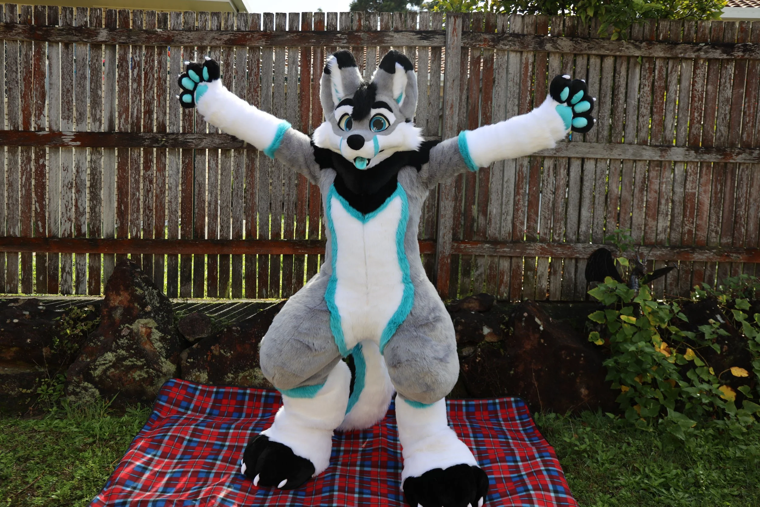 How to order a fursuit — Skyehighstudios