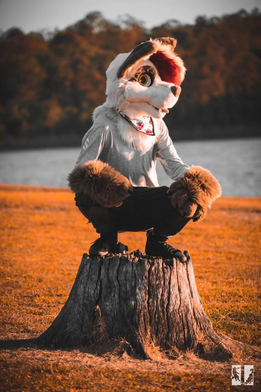 2020 — Skyehighstudios