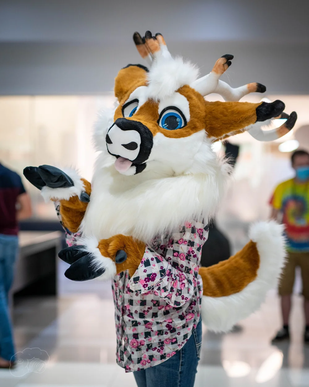 How to order a fursuit — Skyehighstudios