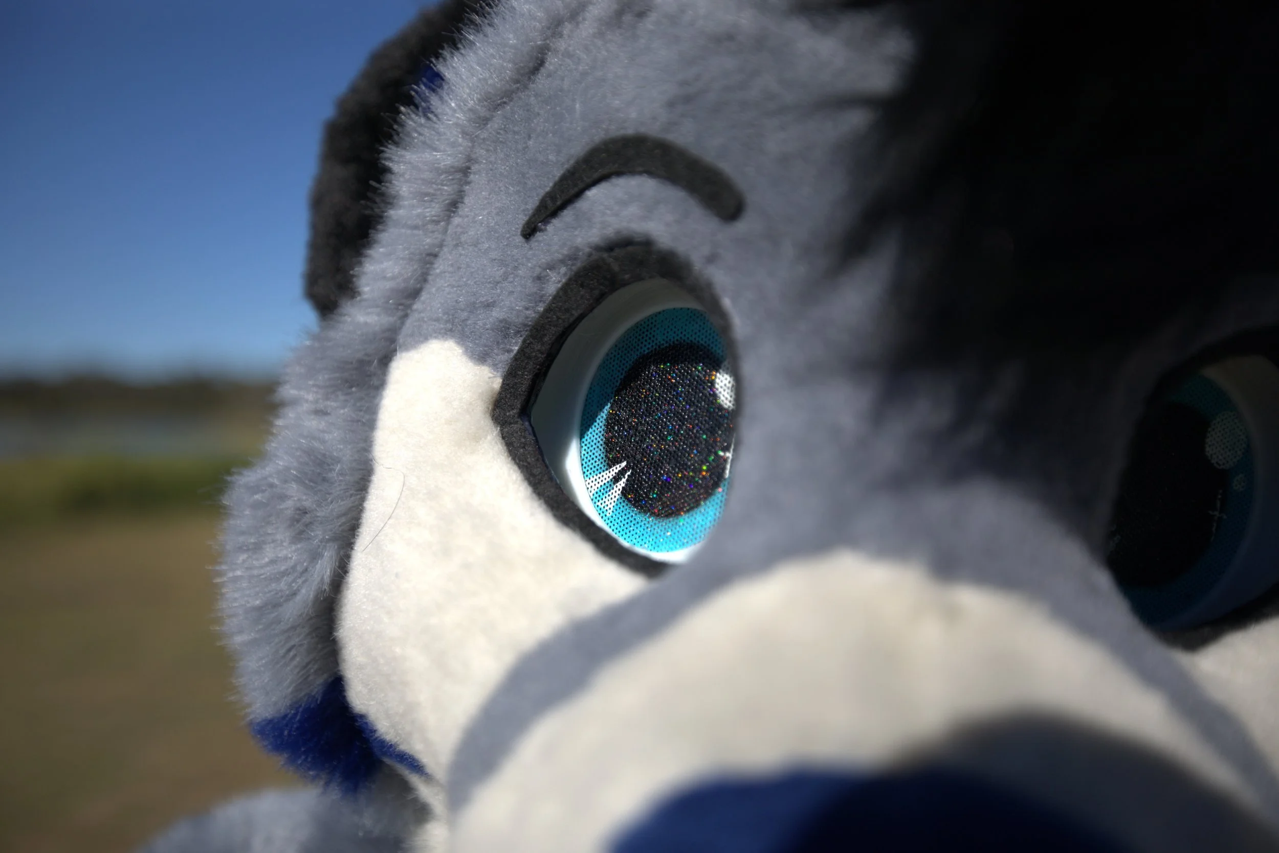 2024 — Skyehighstudios