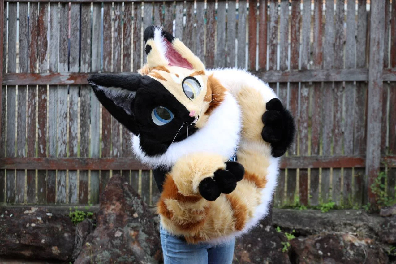 How to order a fursuit — Skyehighstudios