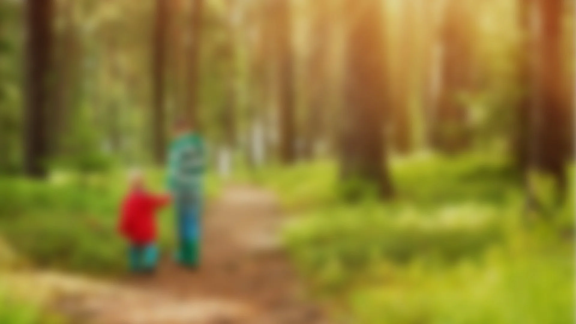 Our Partners | Raise: Cumbria Community Forest
