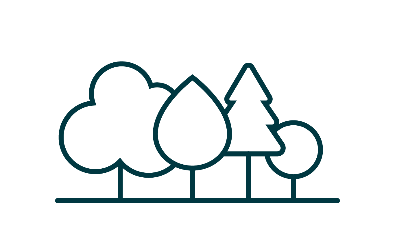 Get Involved | Raise: Cumbria Community Forest
