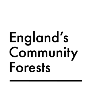 Raise: Cumbria Community Forest | Sustainable Woodland Creation To ...