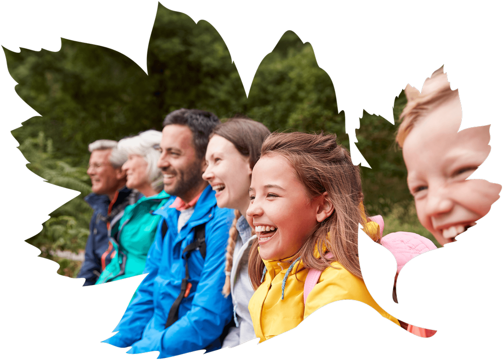 Raise: Cumbria Community Forest | Sustainable Woodland Creation To ...